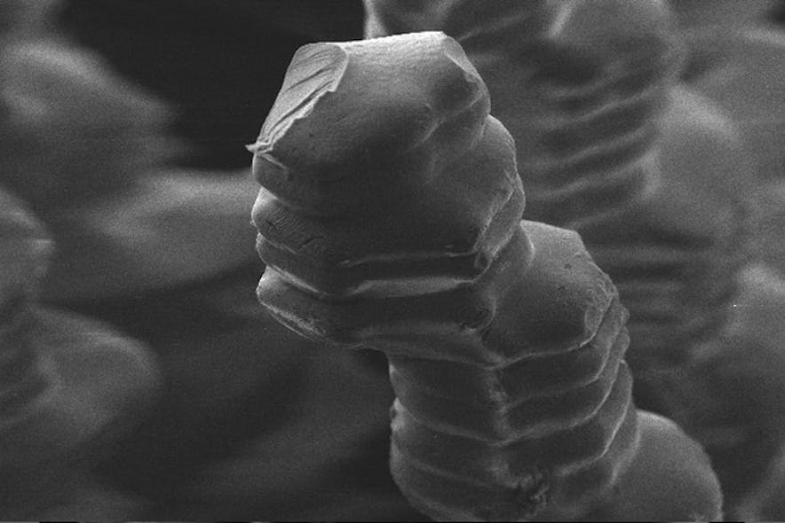Surface-Texture Cilia 3D-Printed to 50-Micron Resolution | Machine Design