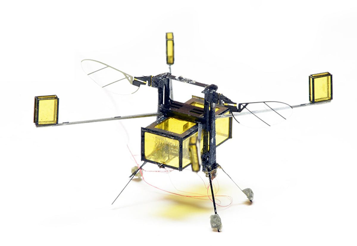 How to Think Like a RoboBee Insect Bot | Machine Design