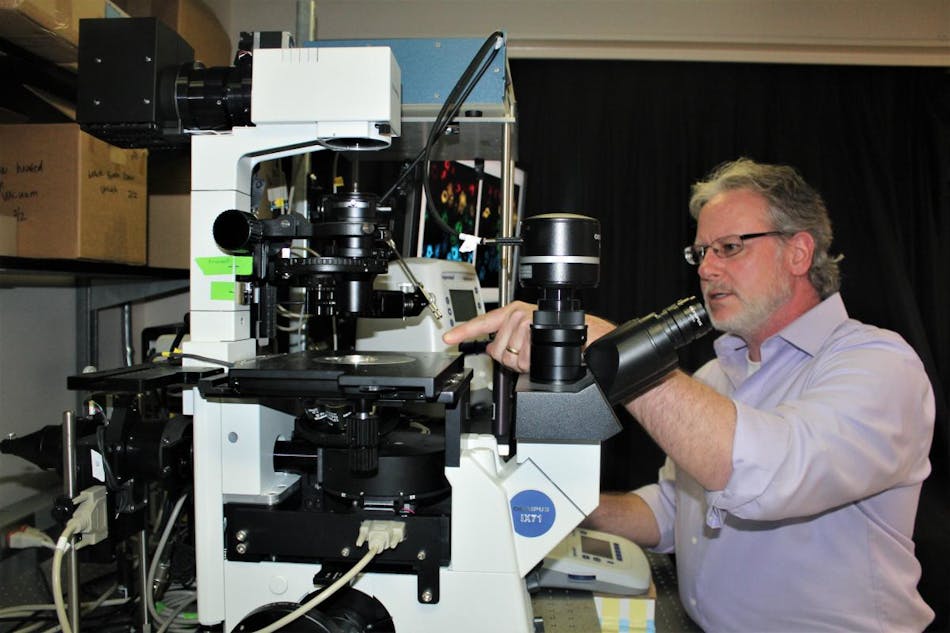 Quantum-Dot Sensor Monitors Brain Functions | Machine Design