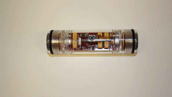 Sensor Fish Measures Stress on Migrating Fish | Machine Design