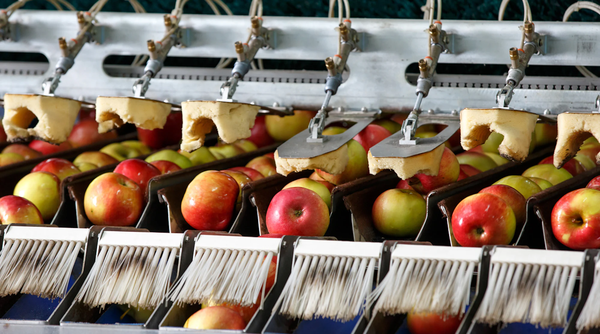 Automation And Manufacturing Innovations For The Food Industry automation-and-manufacturing-innovations-for-the-food-industry