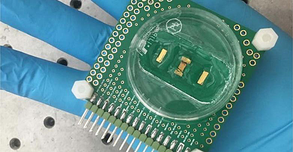 Lab-on-a-Chip Screens Compounds to Accelerate Drug Development ...