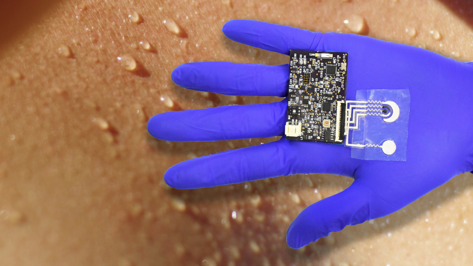 Wearable Biosensor Detects Vitamin C in Sweat | Machine Design