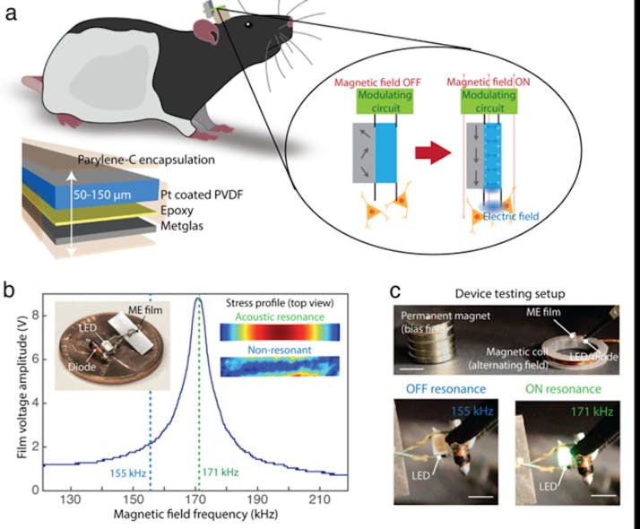 Magnetostrictive, Piezoelectric Effects Partner to Power Implanted ...