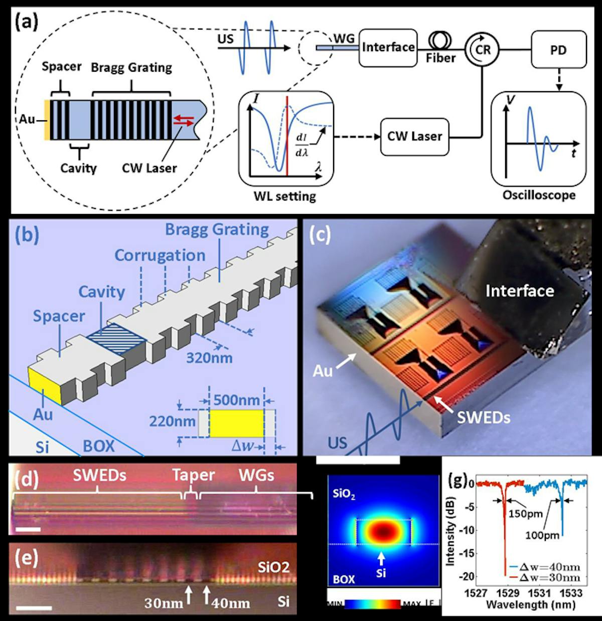 Electro-Optical Ultrasound Detector Far Surpasses Piezoelectric ...
