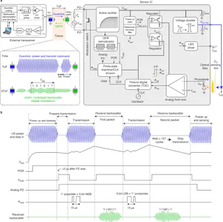 Deep-Implantable Blood-Oxygen Sensor Blends Multiple Sophisticated ...