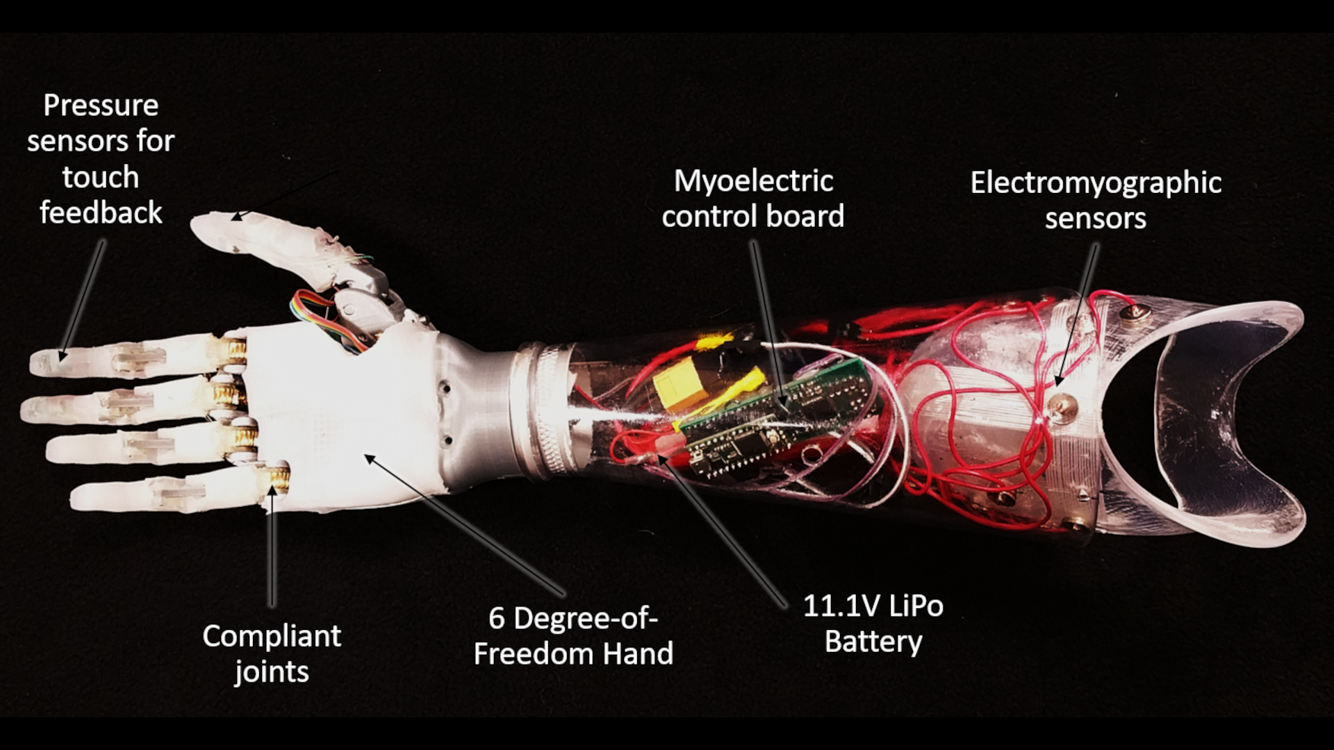 Bionic Hand Provides Strength and Haptic Feedback | Machine Design