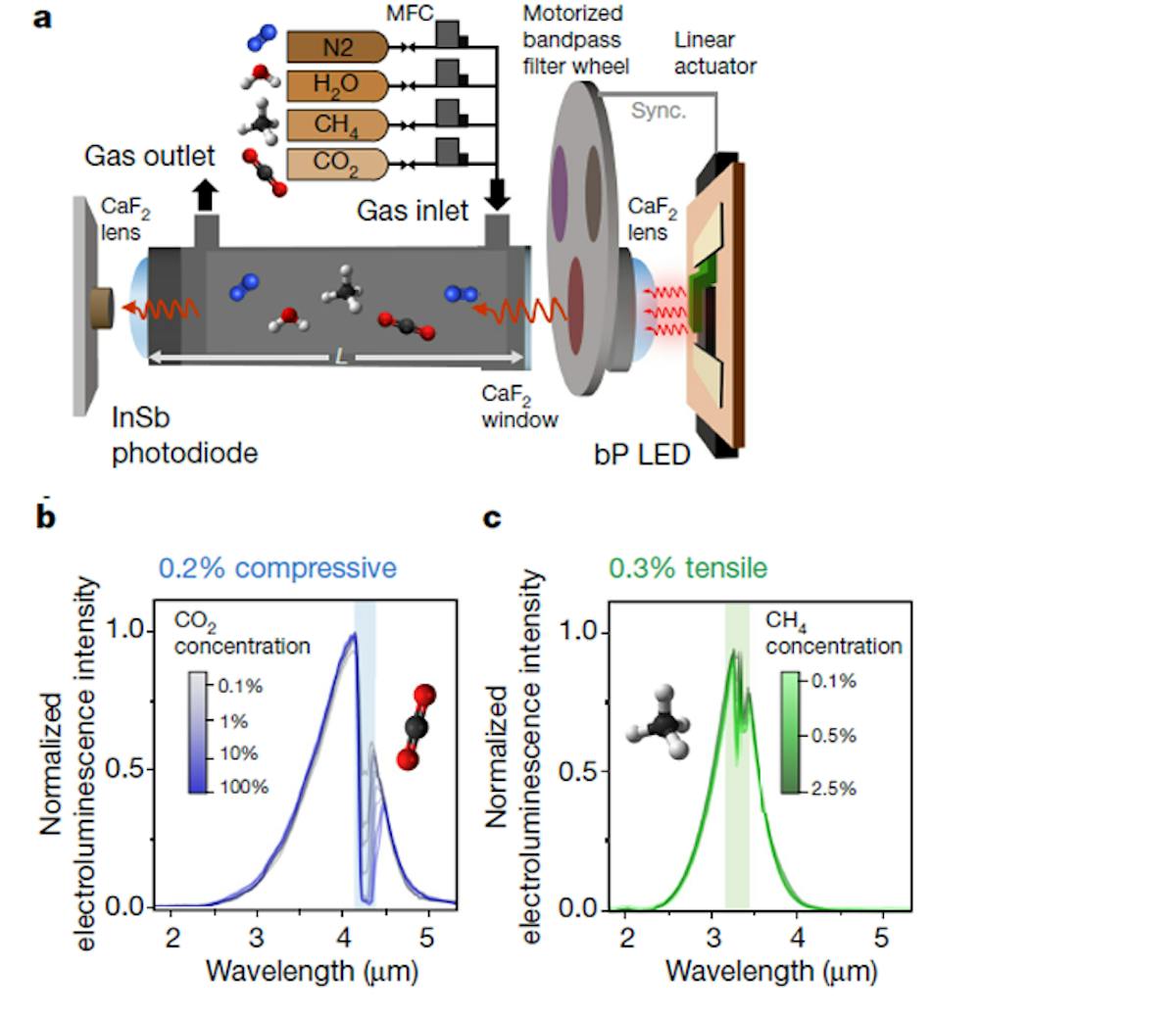 Stressed-Out Black Phosphorus Becomes Wavelength-Tunable LED ...