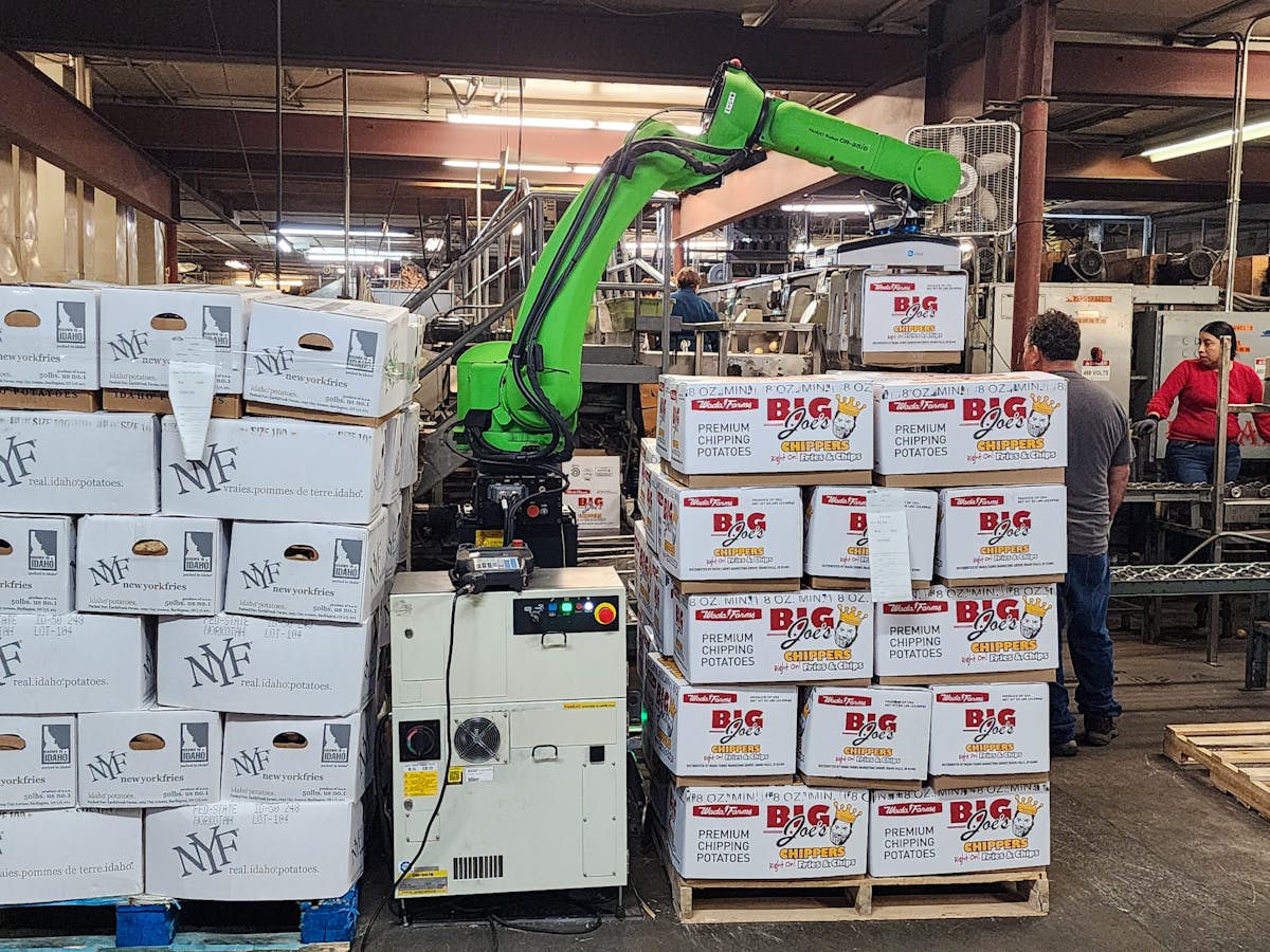 Heavy-Duty Collaborative Palletizing System Addresses Potato Industry’s ...