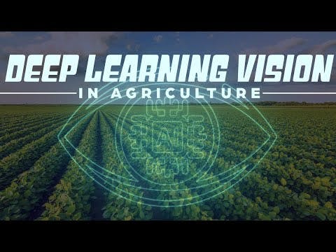 Deep Learning Vision in Agriculture | Machine Design