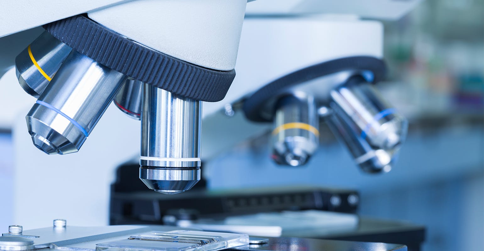 Maximizing Throughput in Automated Microscopy: Techniques and Advanced ...