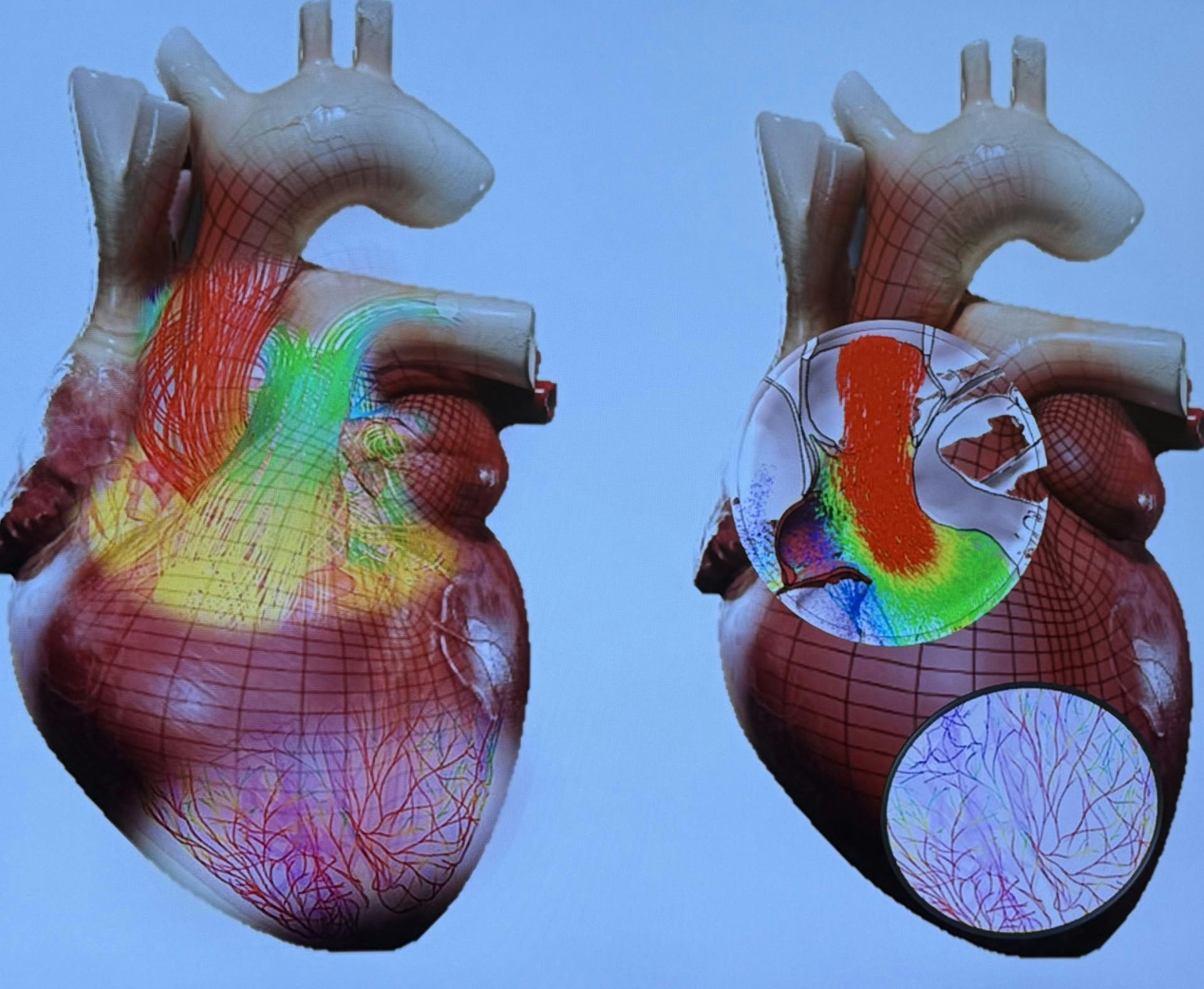 Virtual Human Modeling: From Concept to Life-Saving Technology ...