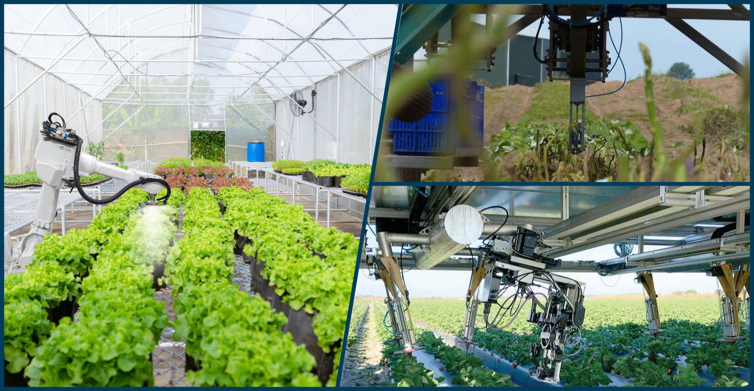 Precision Agriculture Simplifies Harvesting of Unusual Food Crops ...